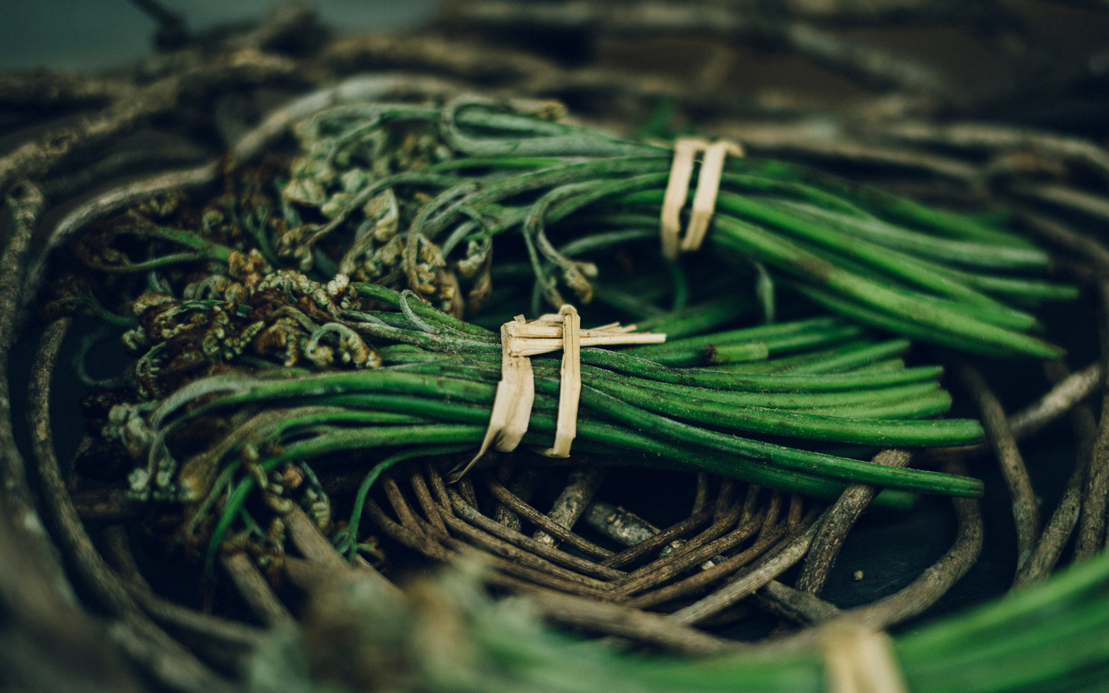 Uchiko, EHIME - Setouchi Cominca Stays